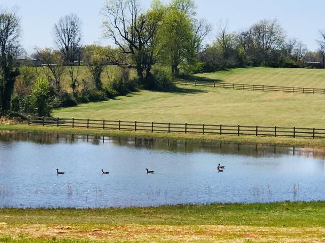 576 Womack Rd