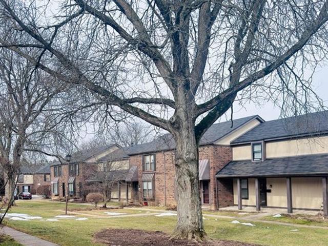 5778 Lucinda Ct, Columbus, OH 43232