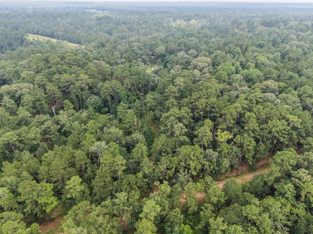 577 Winding River Rd S, Oakhurst, TX 77359 | MLS #72607