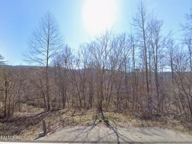 5787 Highway 297, Pioneer, TN 37847