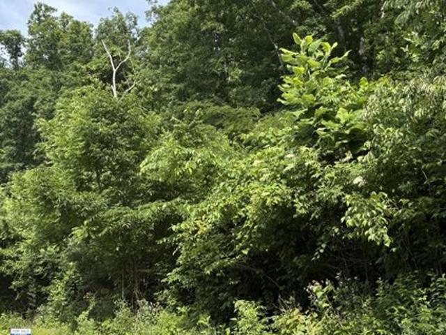 5787 Highway 297, Pioneer, TN 37847