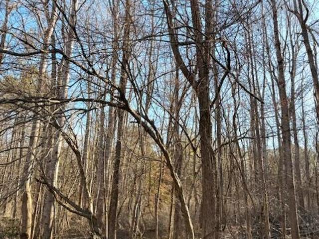 578 Nicks Bend