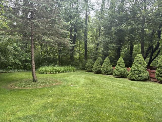 578 Wittenberg Path