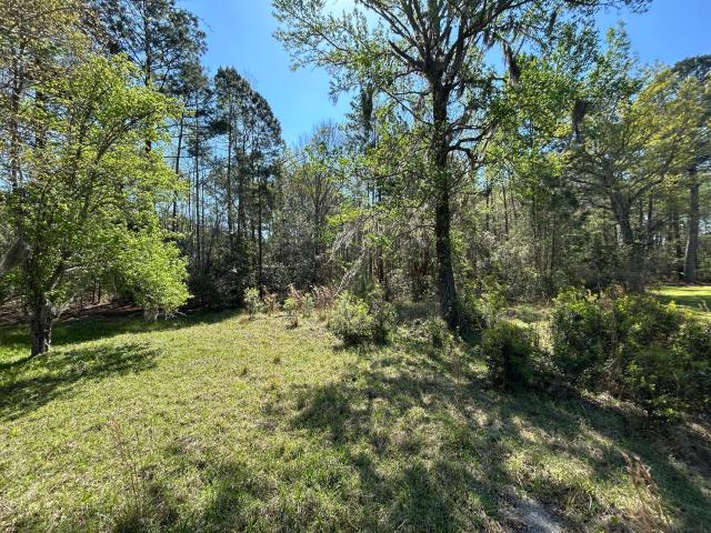 5795 Dixie Plantation Road