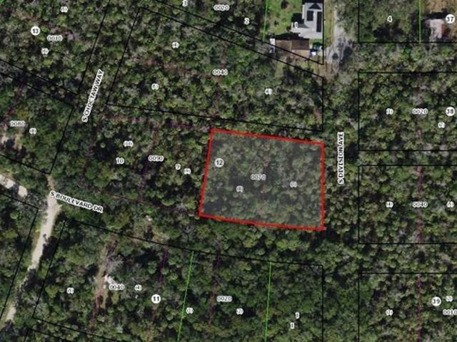 5797 S Boulevard Dr, Homosassa, FL 34448