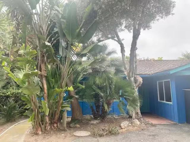57904611 208 Cereus St
