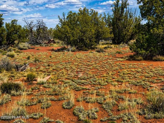 579 Overland Trail, Williams, AZ 86046 | MLS #1081