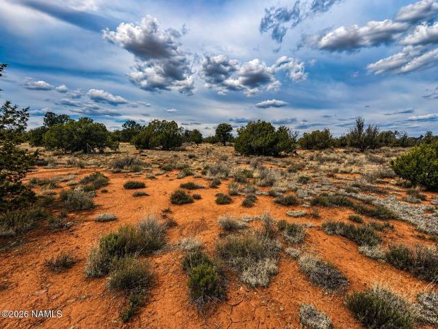 579 Overland Trail, Williams, AZ 86046 | MLS #204217