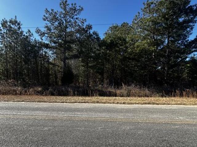 5805 Rooster Cir, Pinewood, SC 29125