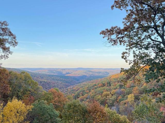 5800 White Oak Mountain Road