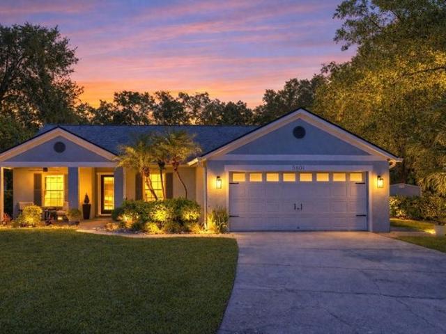 5801 Black Walnut Ct, Tampa, FL 33625