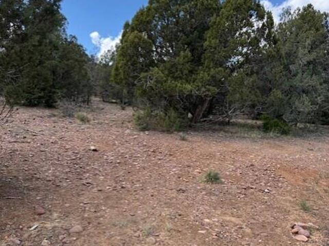 580 Angelas Place LOT 7