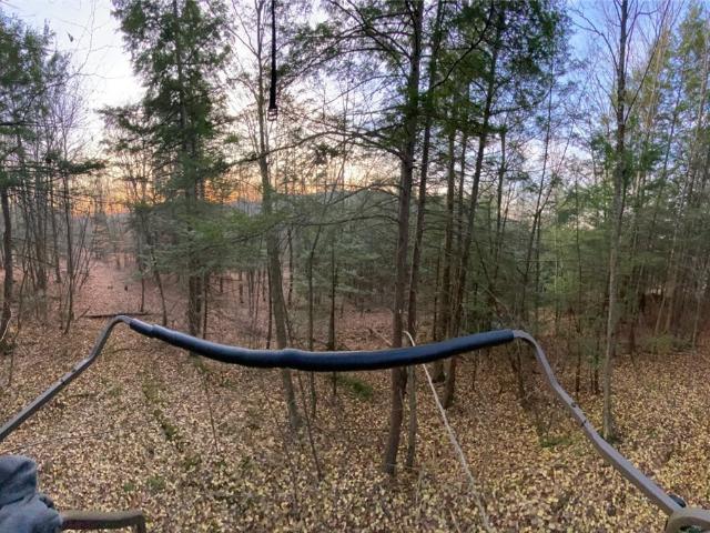 580 Honey Hollow Road