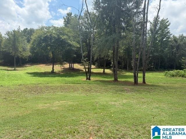 580 Idalia Rd Lot 1, Talladega, AL 35160