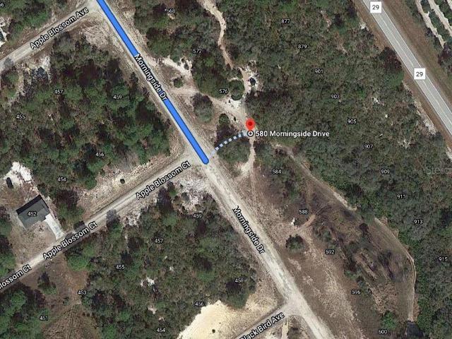 580 Morningside Dr, Lake Placid, FL 33852 | MLS #OM624619 | Compass