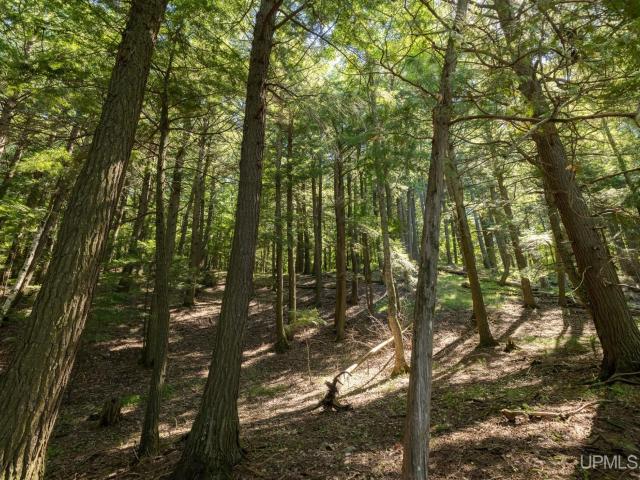 580 Pentoga Trail