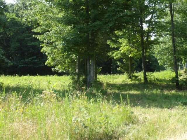580 Pleasant Cemetery Lane