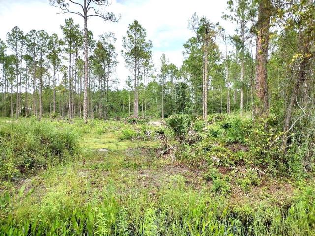 5814 Mahogany Blvd, Bunnell, FL 32110 | MLS #FC303710