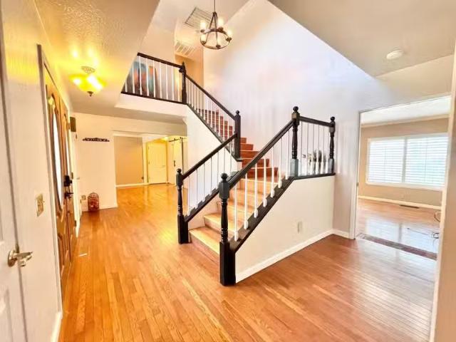 58153675 411 Bluff Ct