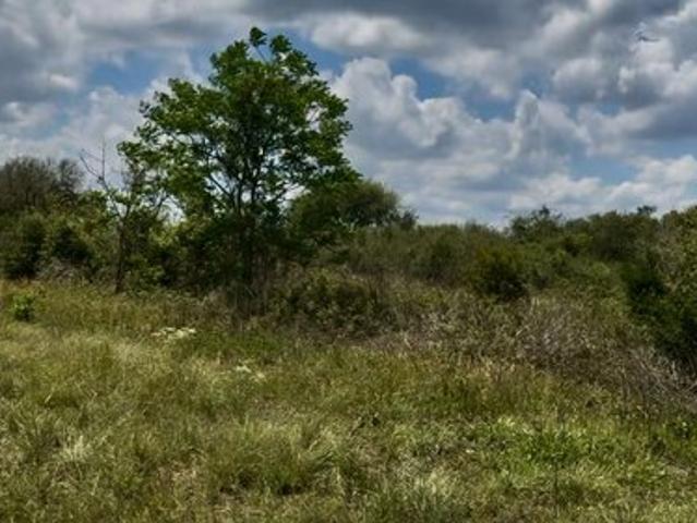 5815 Wild Flower Rd, Sealy, TX 77474