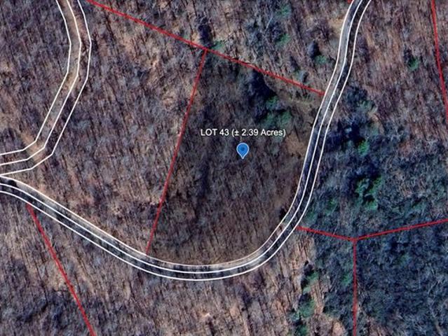 581 Flatwoods Rd, Bragg, WV 25918