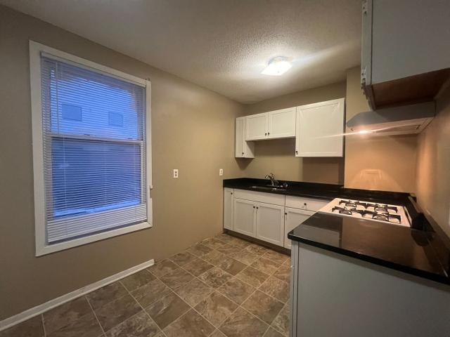 581 Park Street 2 Bedroom Apartment for Rent at 581 Park St, St. Paul, MN 55103 Capitol