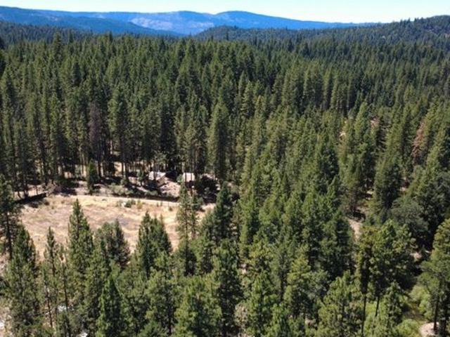 581 Quinn Ln, Trinity Pines, CA 96041