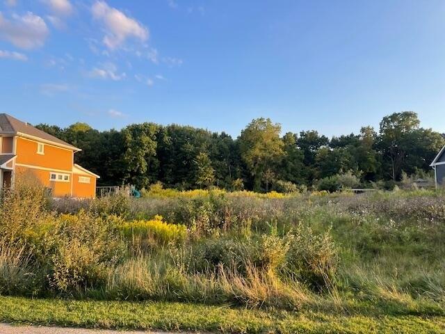 5824 Trail Side Ln, Whitmore Lake, MI 48189