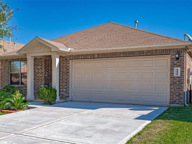 5822 Camelia Evergreen Lane