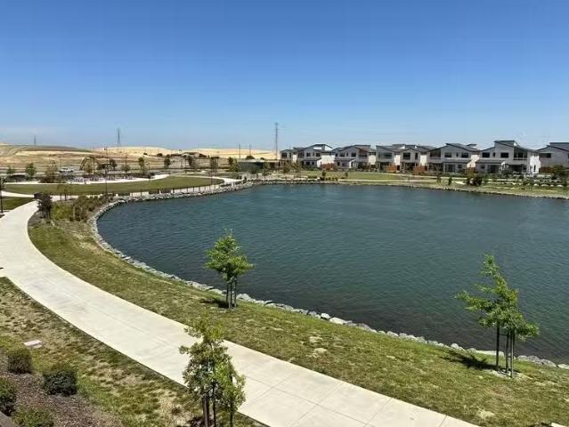 58237126 2442 Shore Vis