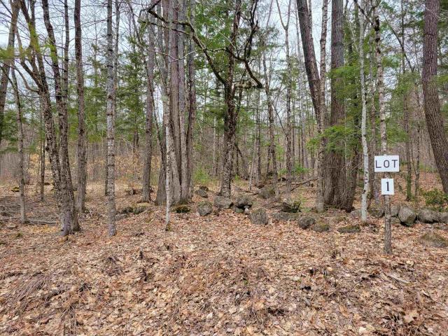 582 1 West Fryeburg Road