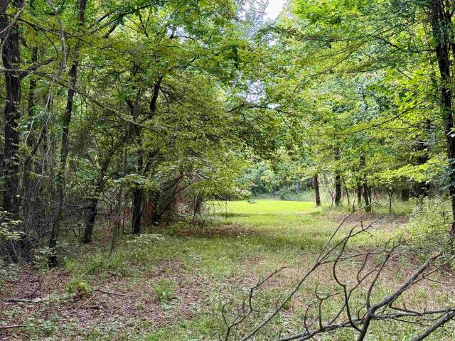 582 County Road 2291