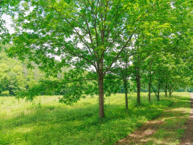 582 Cedar Bend Rd
