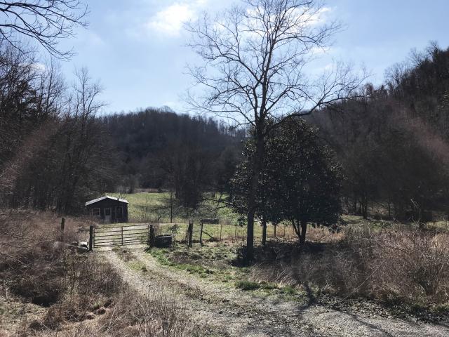 582 Cedar Bend Rd, Beechgrove, TN 37018 | MLS #3147