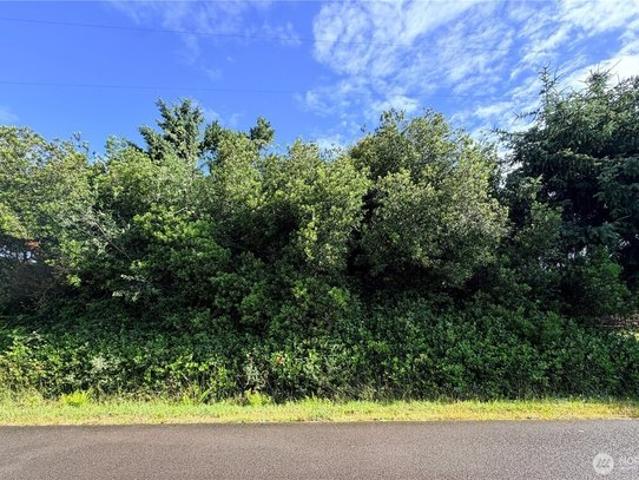 582 Ensign Ave NW Lot 5, Ocean Shores, WA 98569