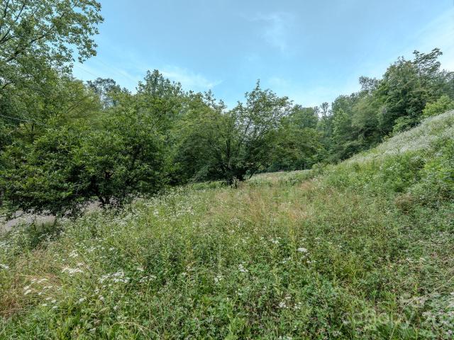 582 Poplar Creek Rd, Green Mountain, NC 28740 | MLS #4276