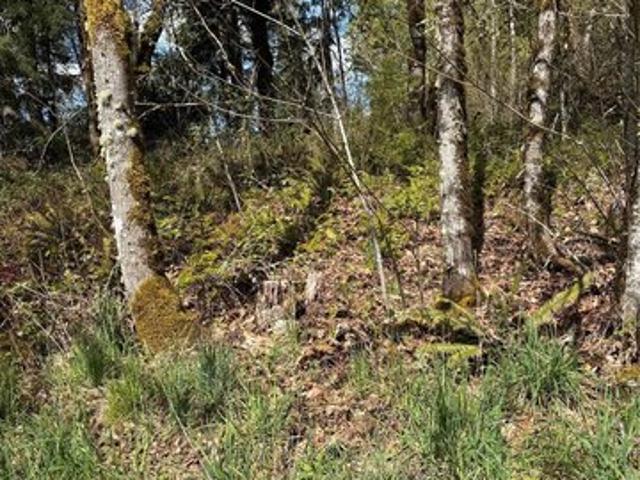 5838 Octava Ct SW Lot 96, Olympia, WA 98513