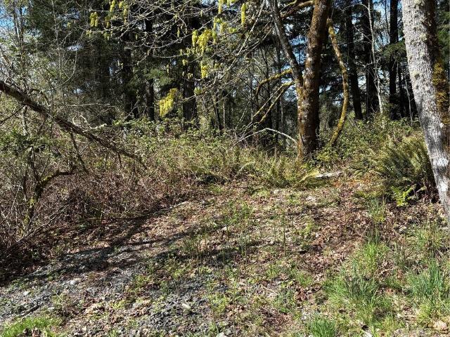 5838 Octava Ct SW, Olympia, WA 98513 | MLS #2508