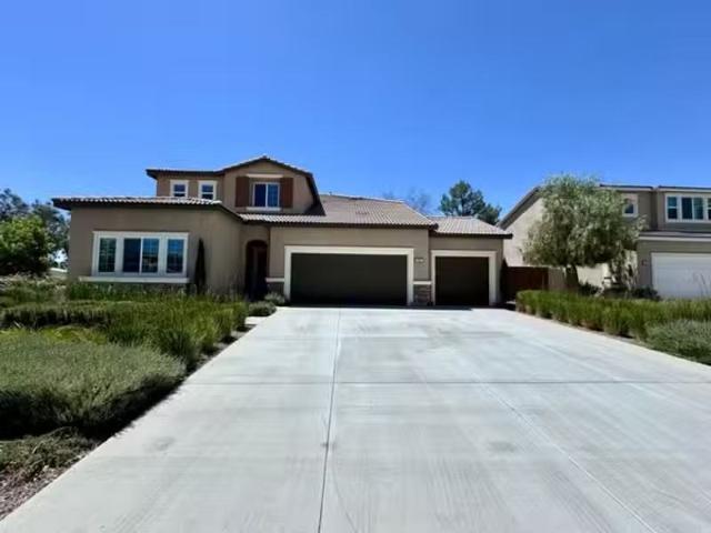 58303384 31097 Linden Flower Rd