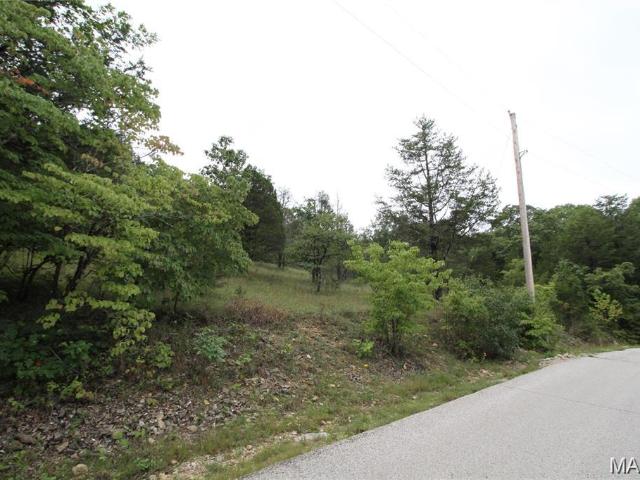 5848 Forest Dr, Hillsboro, MO 63050 | MLS #25063