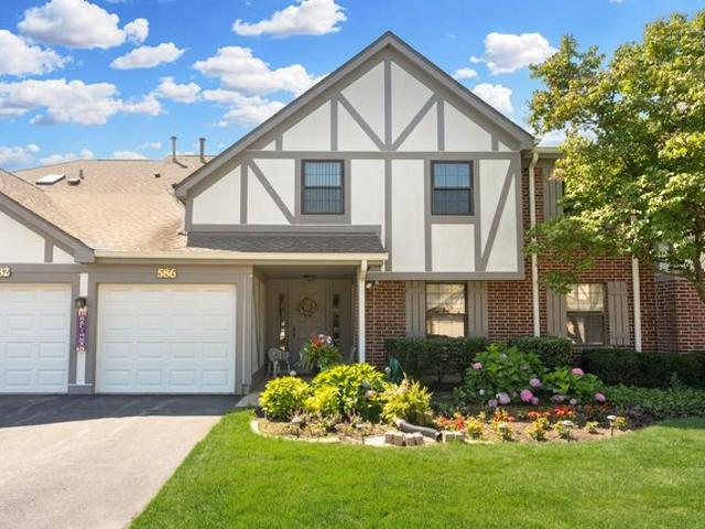 584 Elizabeth Dr Unit B, Wood Dale, IL 60191
