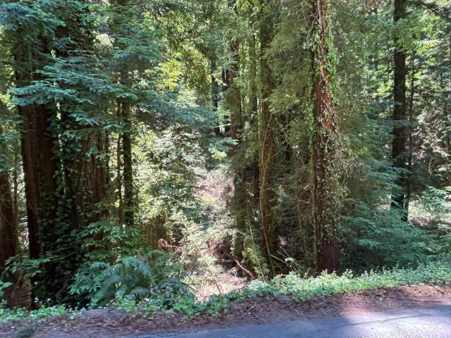 584 Hazel Dell Rd, Watsonville, CA 95076 | MLS #ML82054