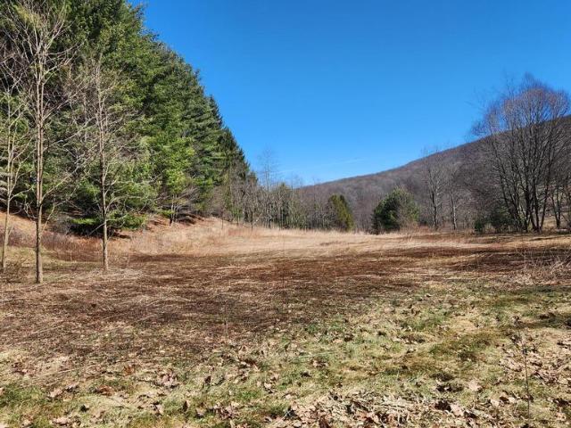 584 Old Wilson Road