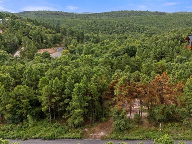 584 Timberline Trail
