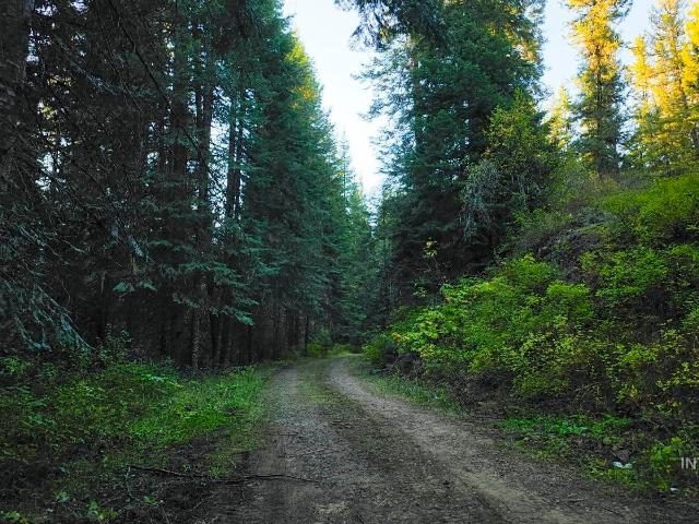 5856 Lacey Meadows Rd