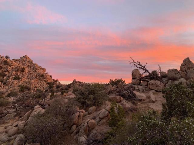 5850 Cactus Canyon Trail