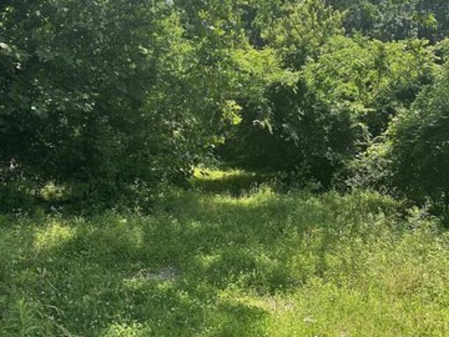585 Berryville Rd, Jonesboro, IL 62952