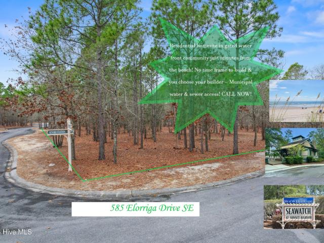 585 Elorriga Dr SE, Bolivia, NC 28422 | MLS #100556 | Compass