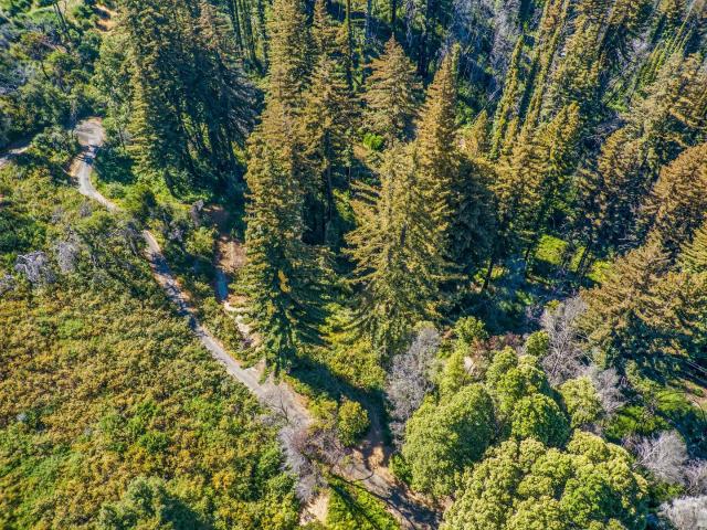 585 Robles Dr, Santa Cruz, CA 95060 | MLS #ML82019
