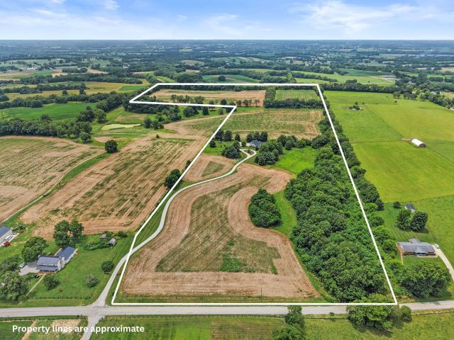 585 Ruddles Mill Cynthiana Road